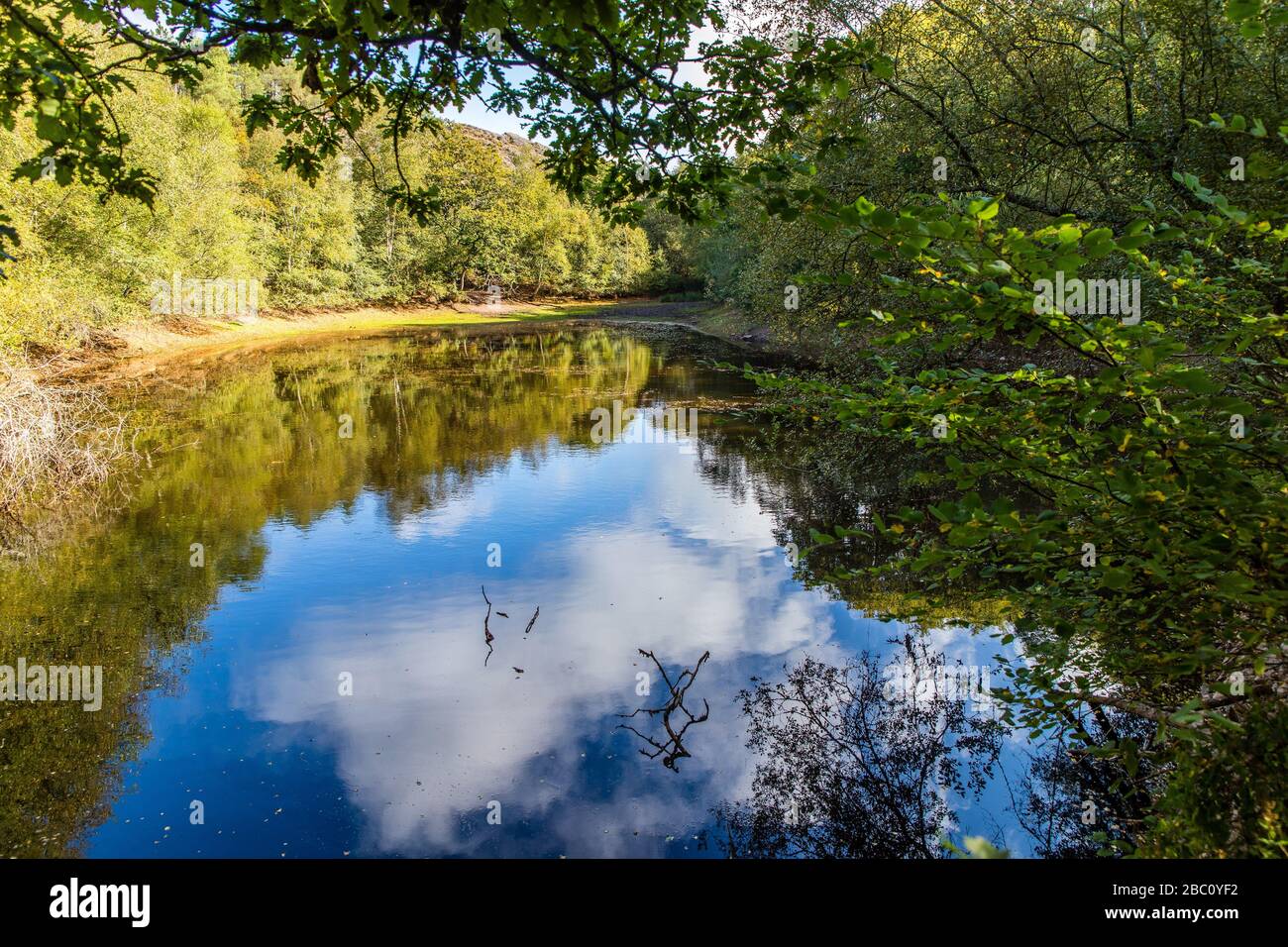 THE VALE OF NO RETURN, FOREST OF BROCELIANDE, LEGENDARY SITE KNOWN AS ...