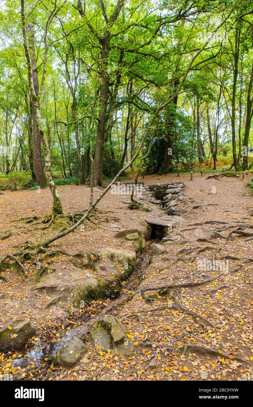 BARENTON FOUNTAIN, PAIMPONT (35), BRITTANY, FRANCE Stock Photo - Alamy