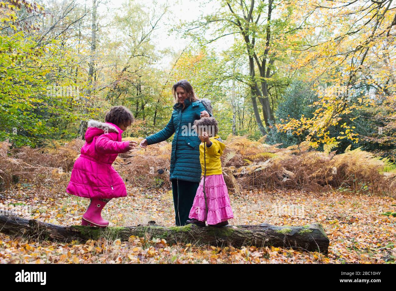 Fallen log hi-res stock photography and images - Alamy