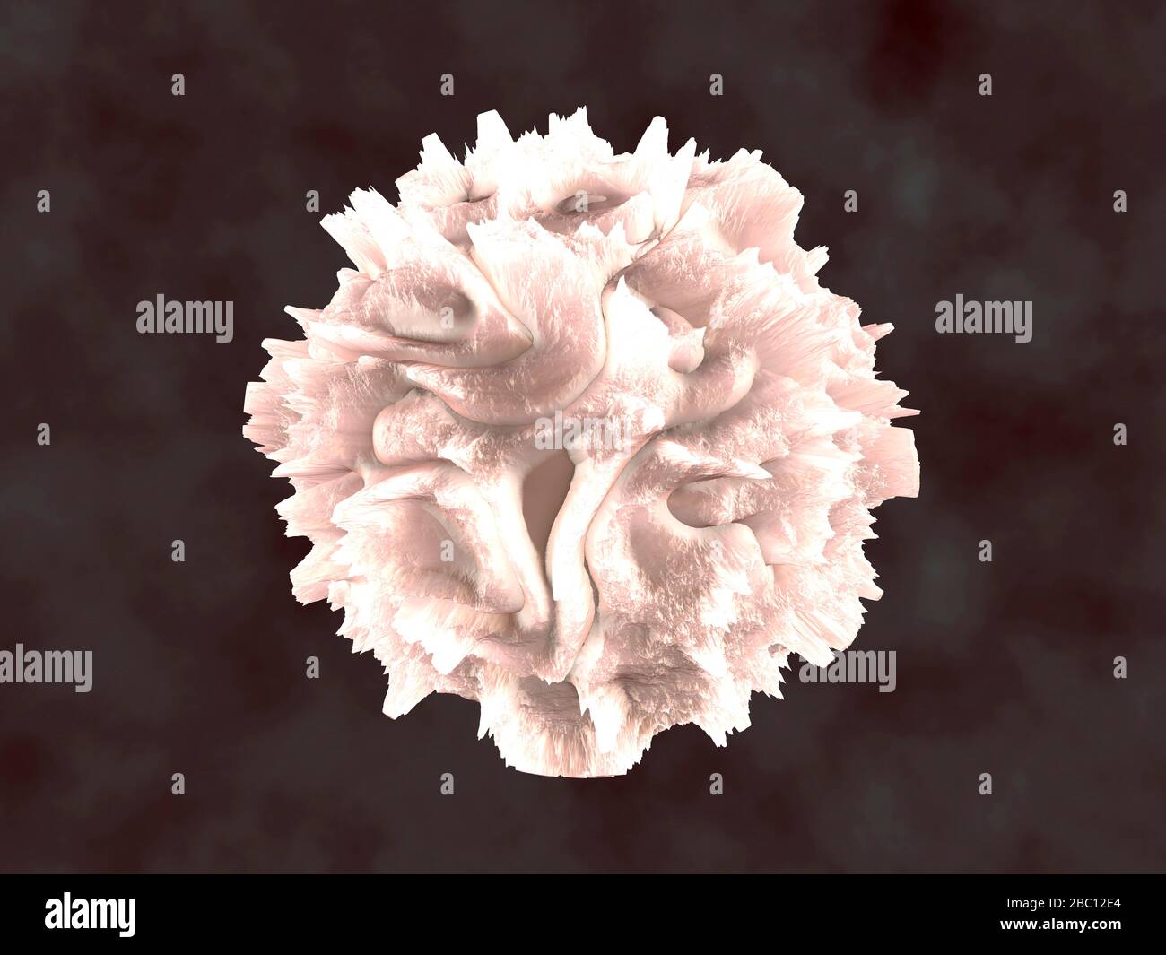 White blood cell hi-res stock photography and images - Alamy