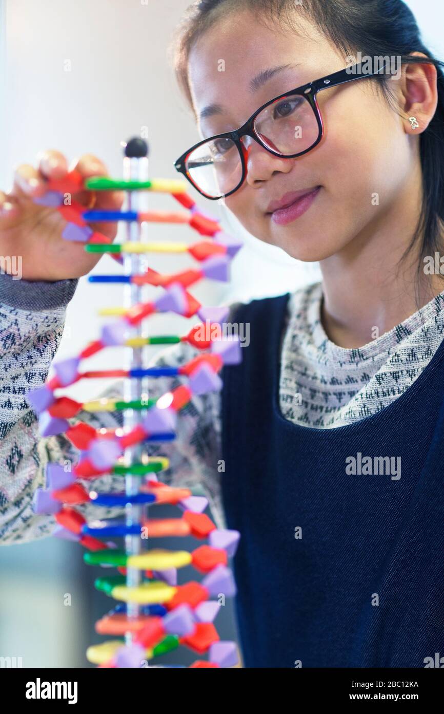 Girl student examining DNA model in classroom Stock Photo - Alamy