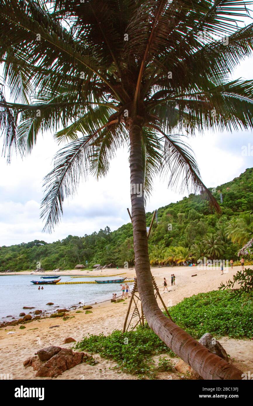 beach in the island of Cu Lao Cham, one of the Cham islands in Vietnam ...