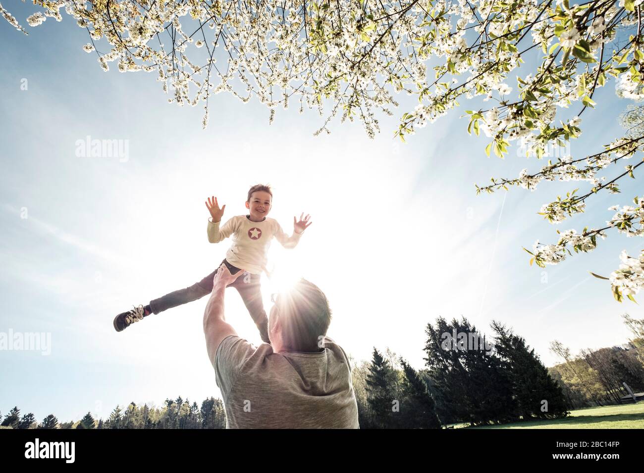 Father throwing son in air Stock Photo - Alamy