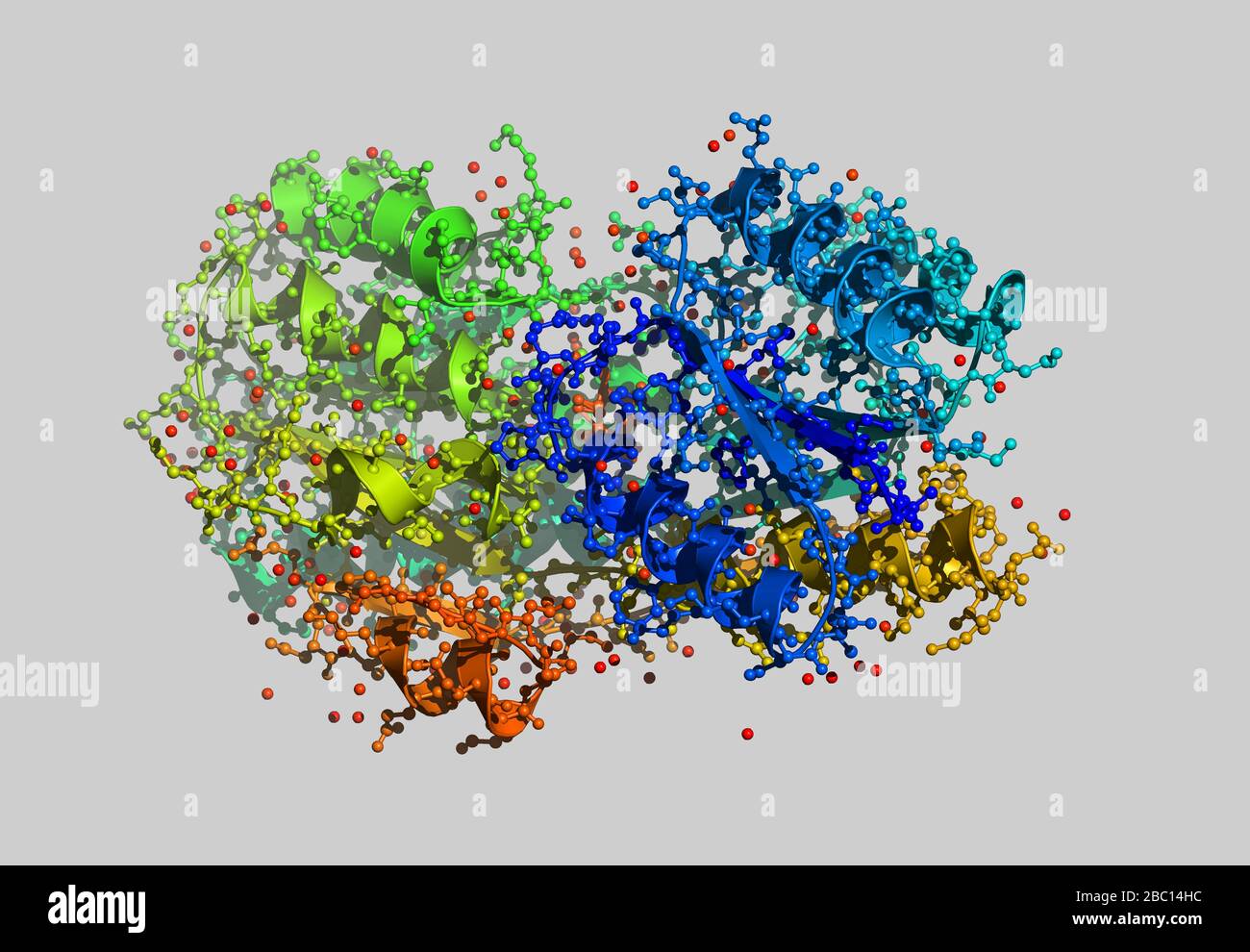 Protein molecular model with atoms Stock Photo - Alamy
