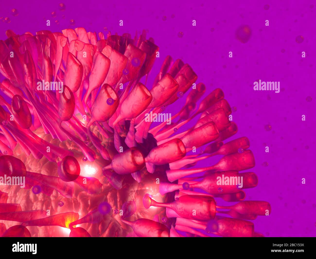 Generic photography hi-res stock photography and images - Alamy