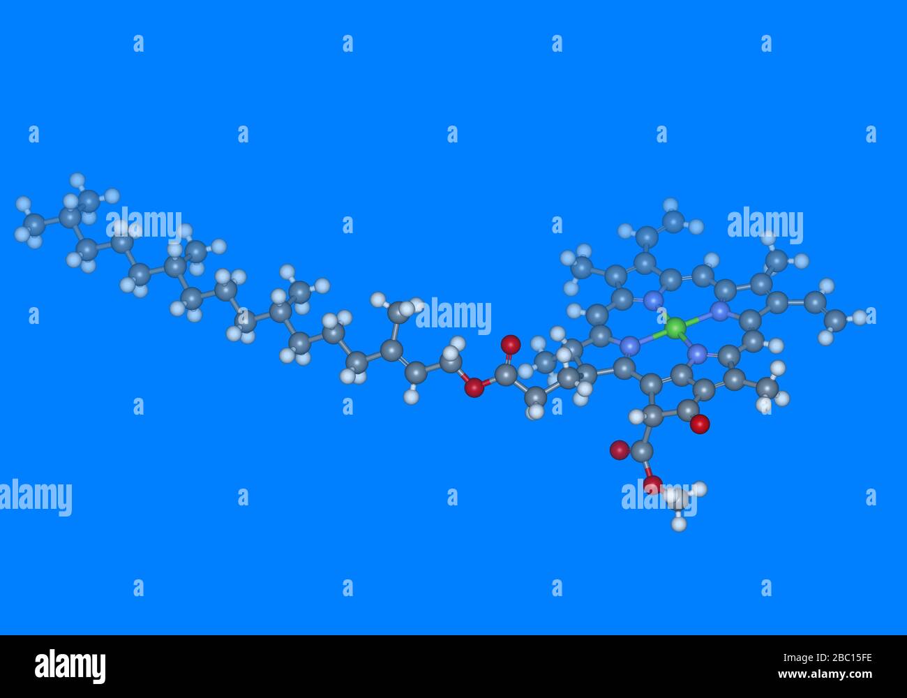Chlorophyll A molecular model with atoms Stock Photo - Alamy