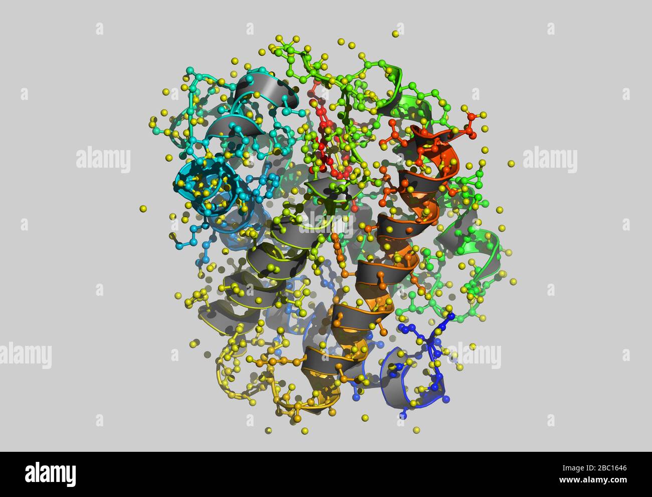 Hemoglobin model hi-res stock photography and images - Alamy