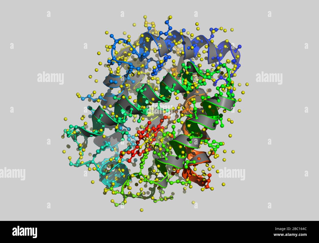 Hemoglobin model hi-res stock photography and images - Alamy