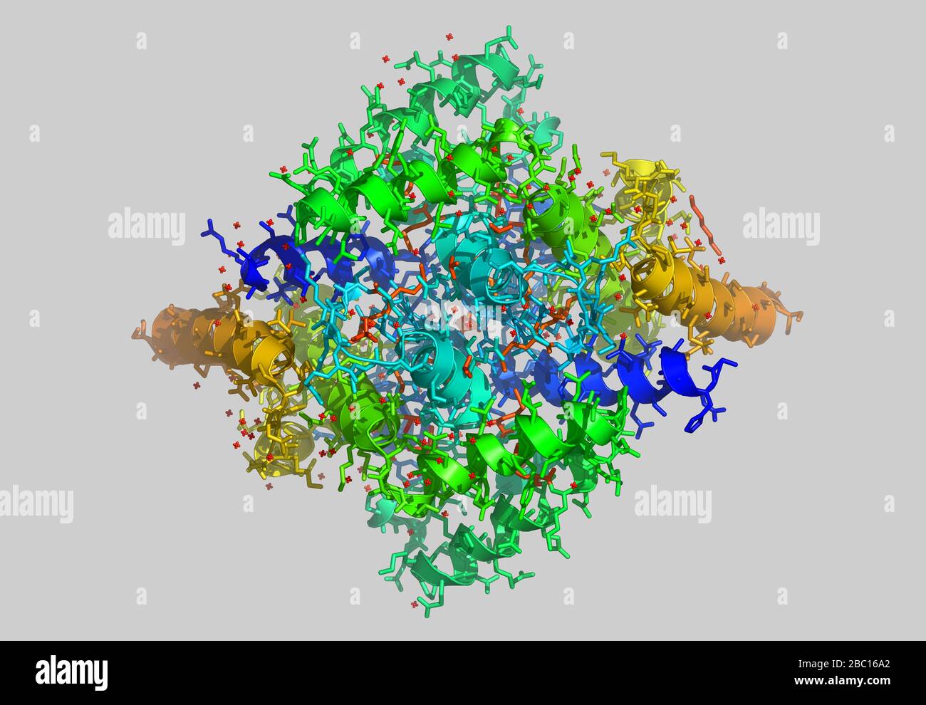 Protein molecular model with atoms Stock Photo - Alamy