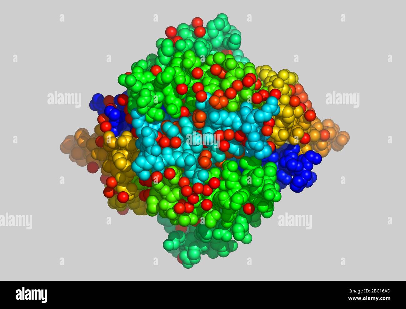 Protein molecular model with atoms Stock Photo - Alamy