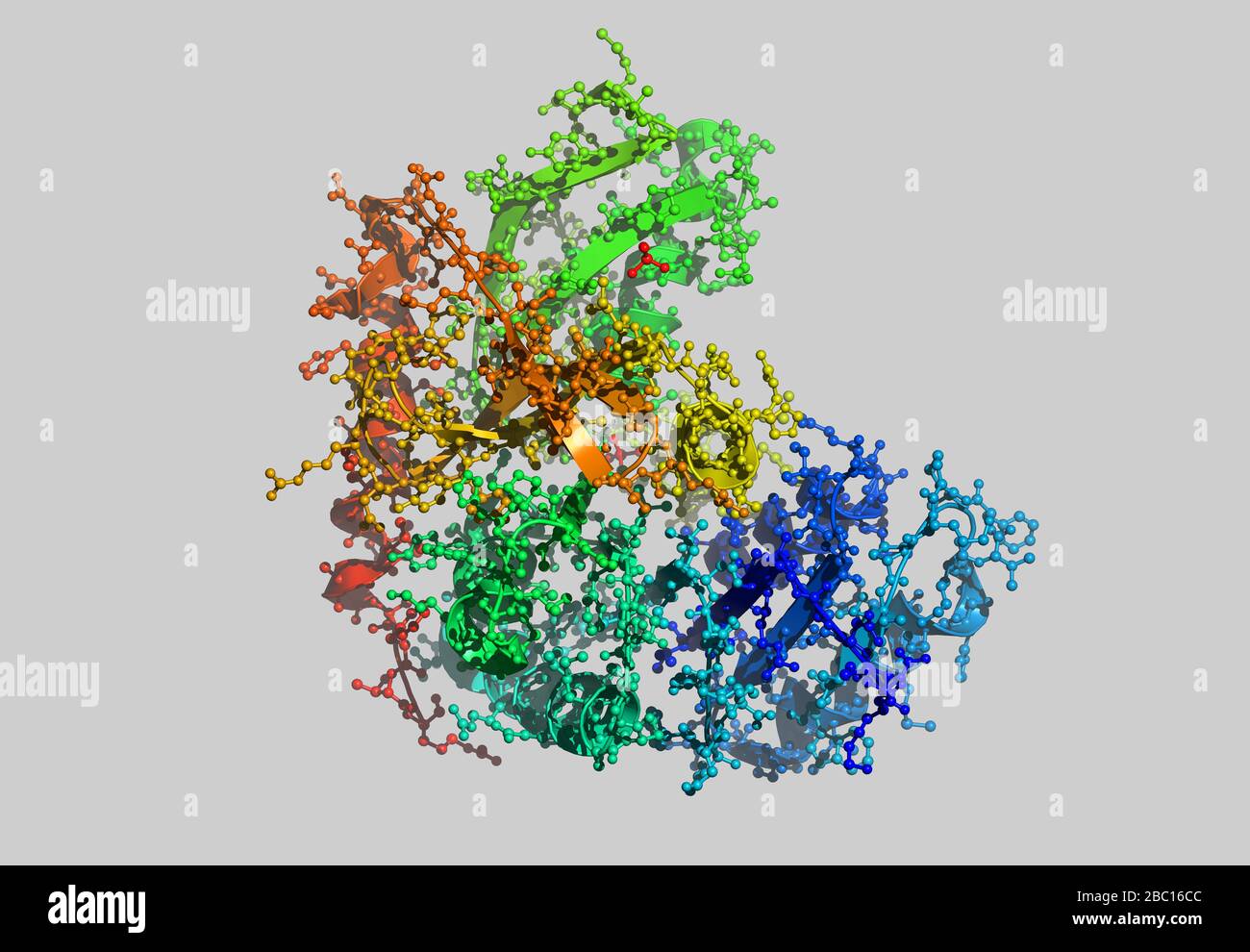 Enzym molecular model with atoms Stock Photo - Alamy
