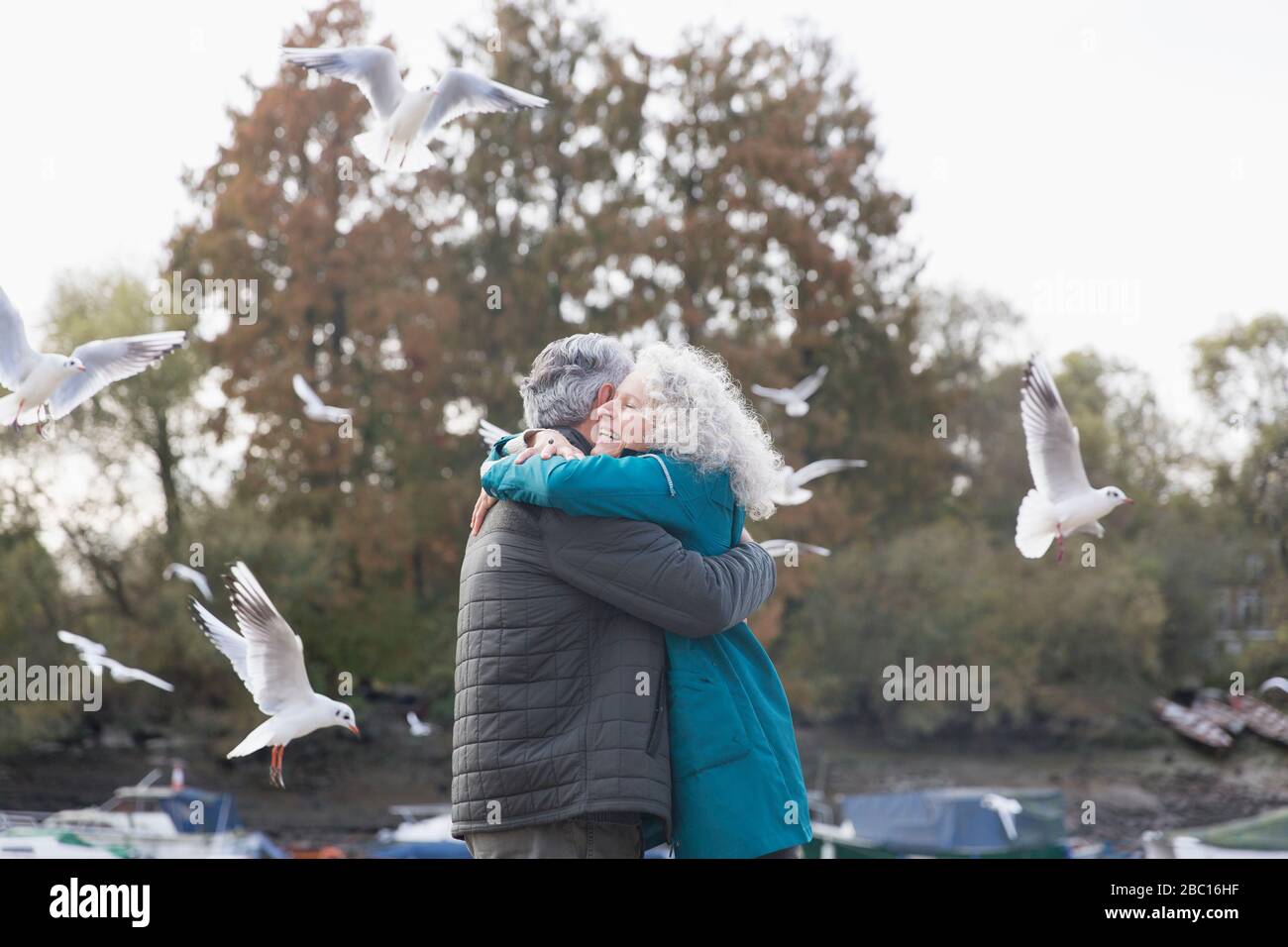 Smiling, affectionate senior couple hugging in park with flying birds ...