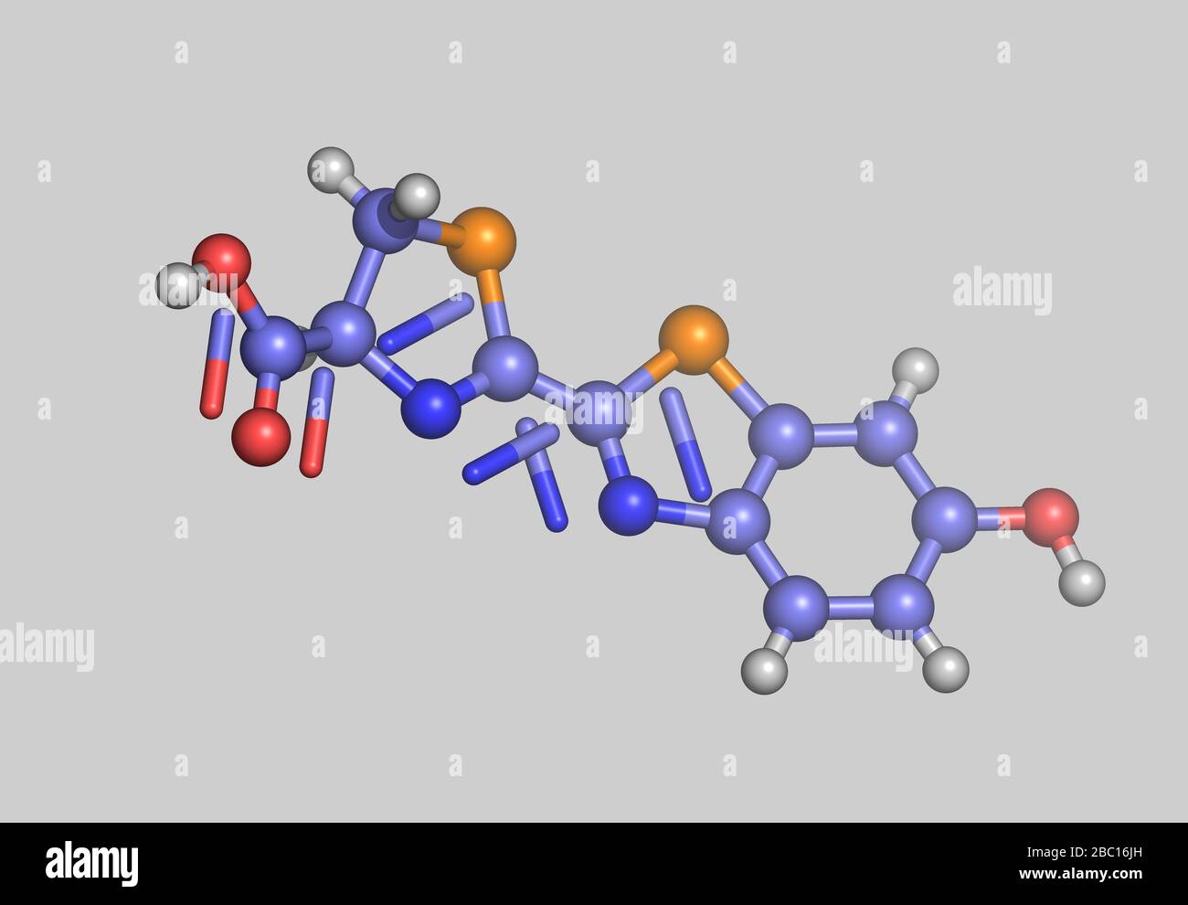 Fireflies structure hi-res stock photography and images - Alamy