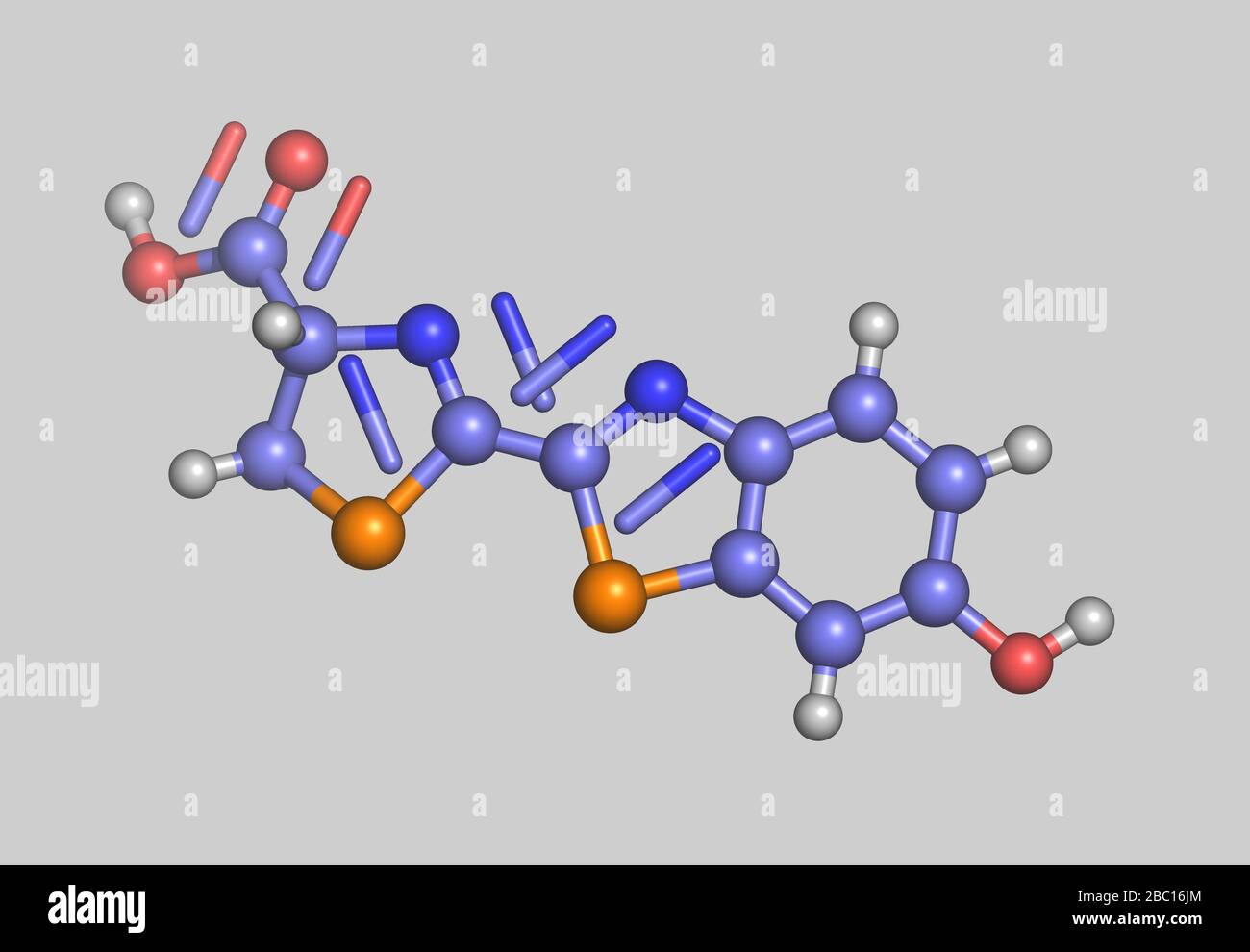 Luciferin molecular model with atoms Stock Photo - Alamy