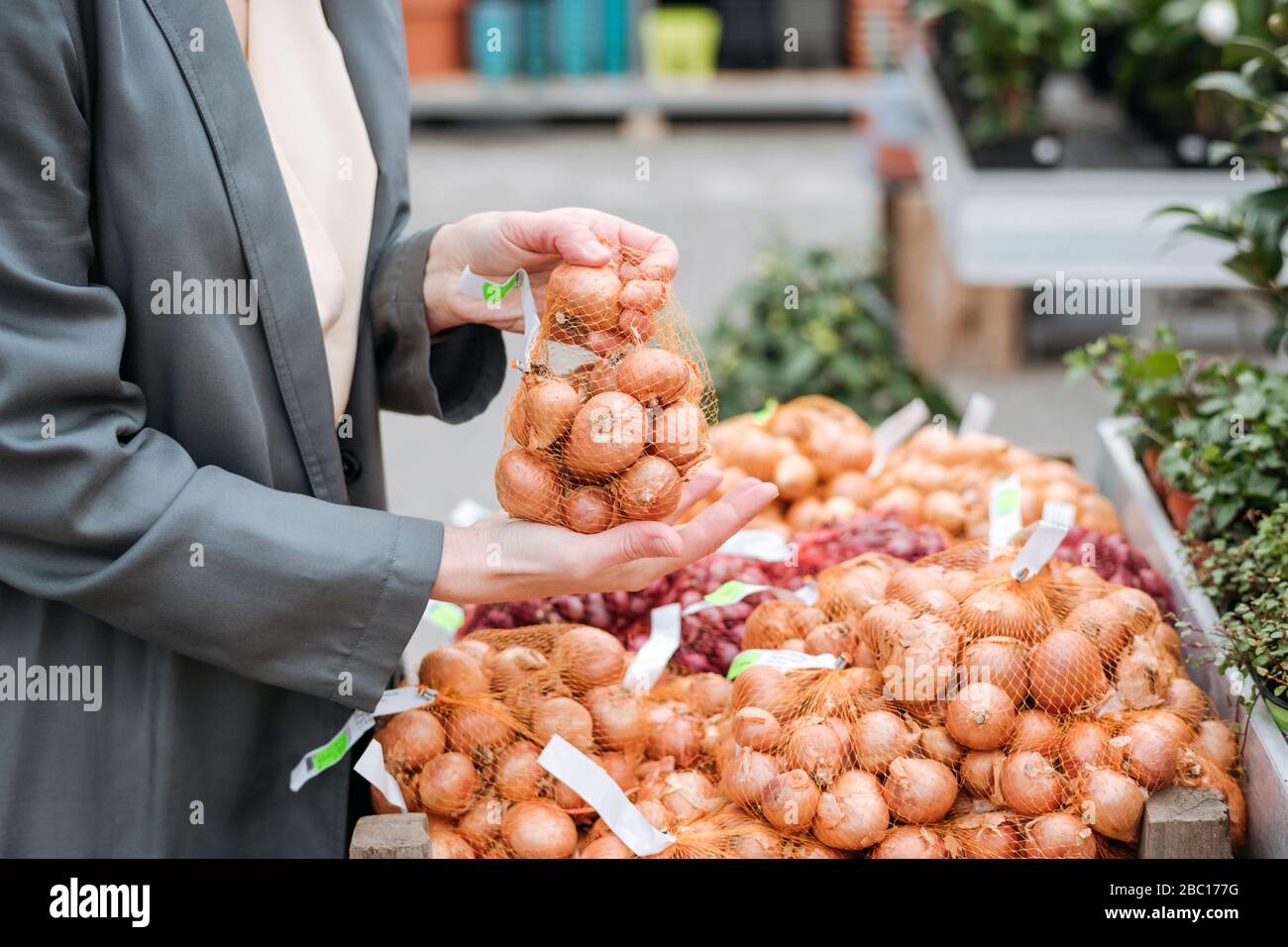 Woman's hands holding onion packing Stock Photo - Alamy