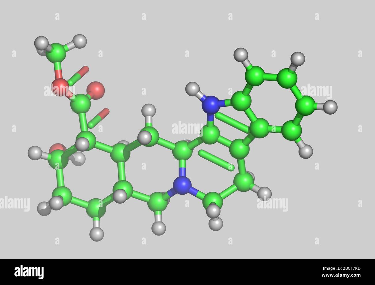 Yohimbine tree hi-res stock photography and images - Alamy