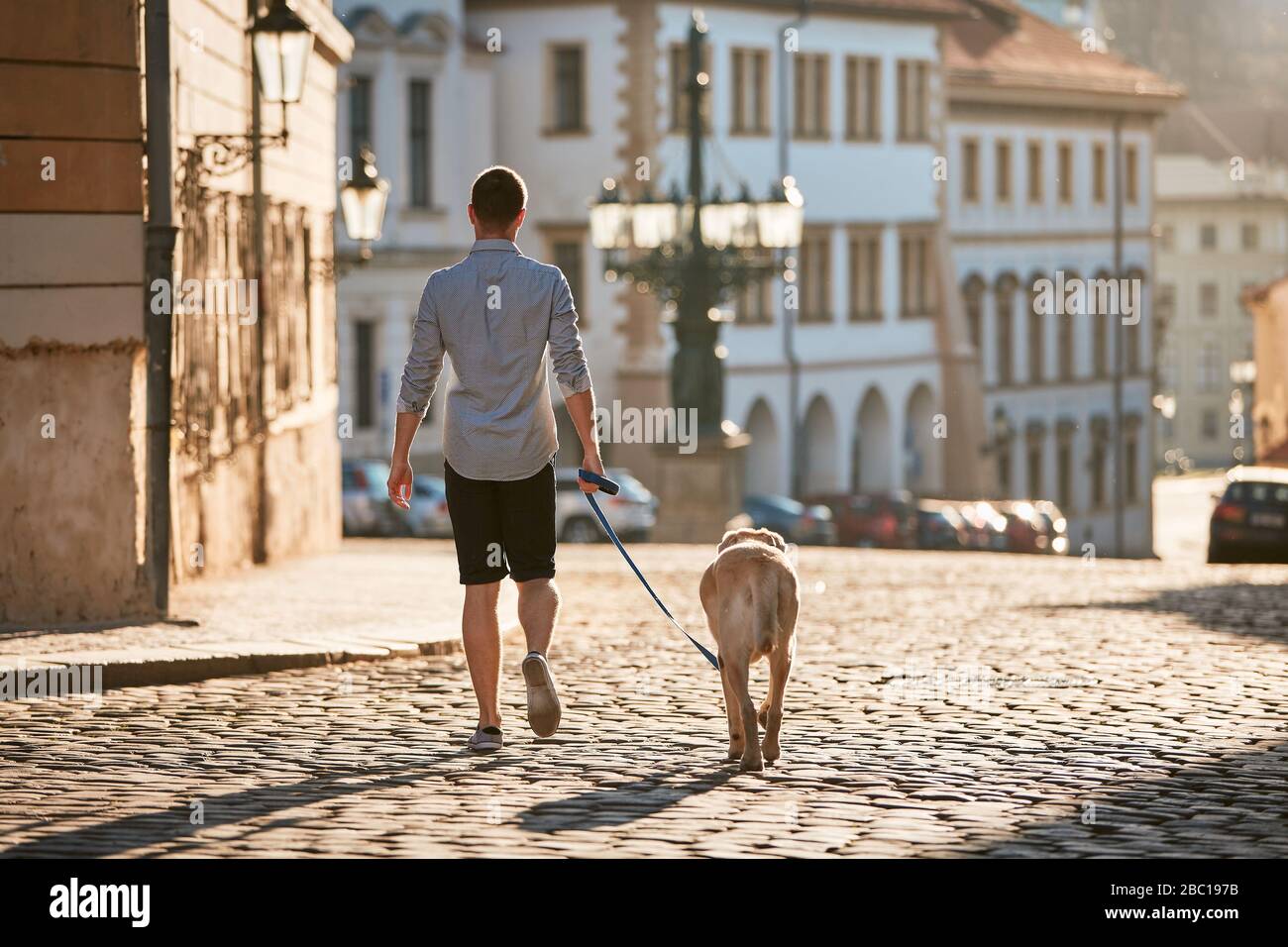 Old man walking dog hi-res stock photography and images - Alamy
