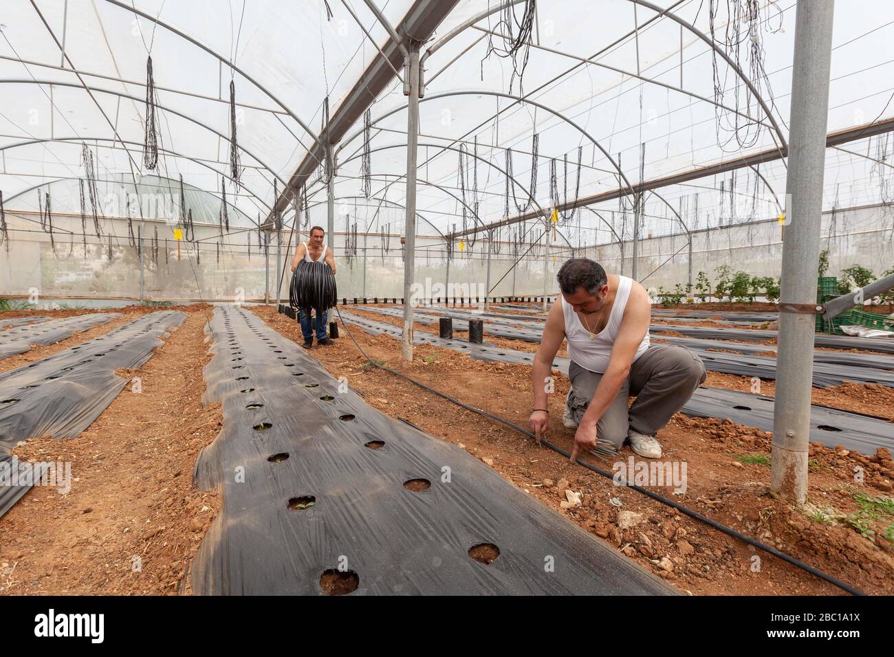 Ihab hi-res stock photography and images - Alamy