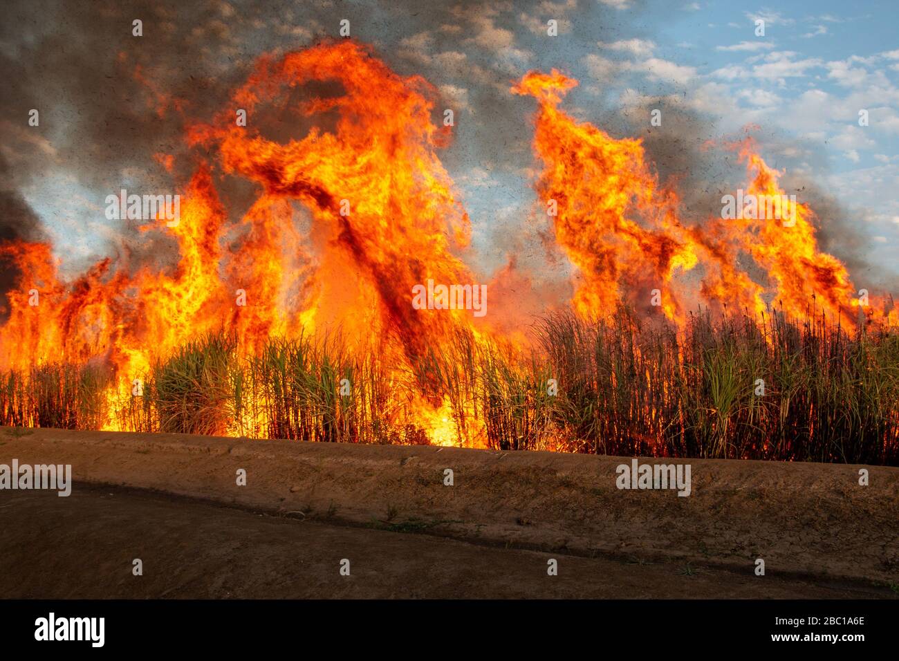 Burning Sugar Cane Fields