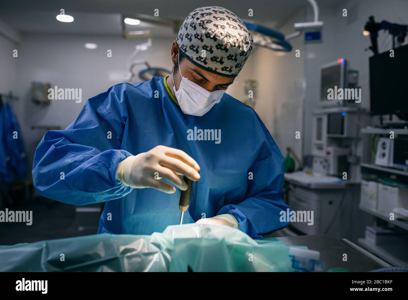 Veterinarian in a surgery Stock Photo - Alamy