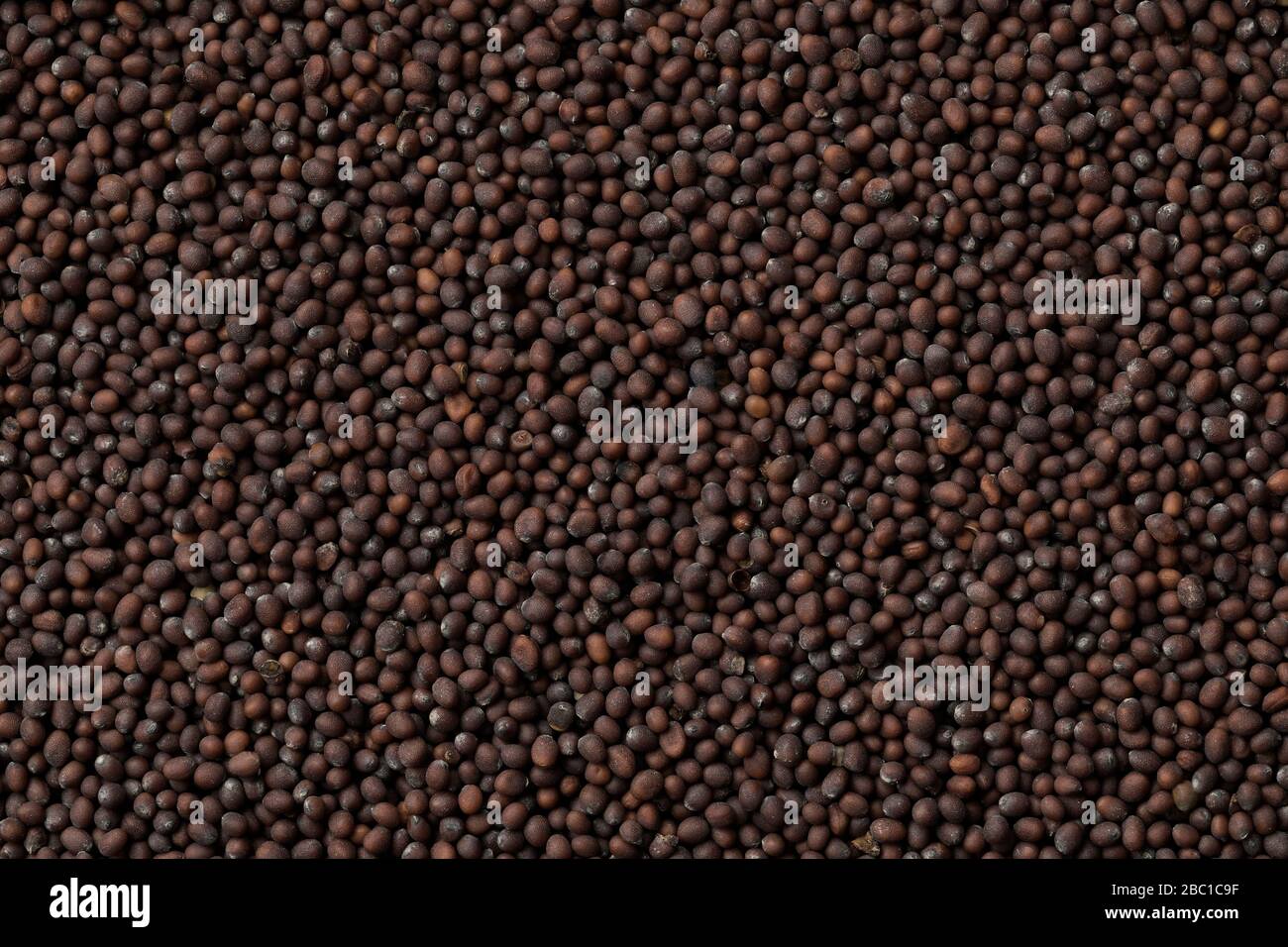 Black mustard seed hi-res stock photography and images - Alamy