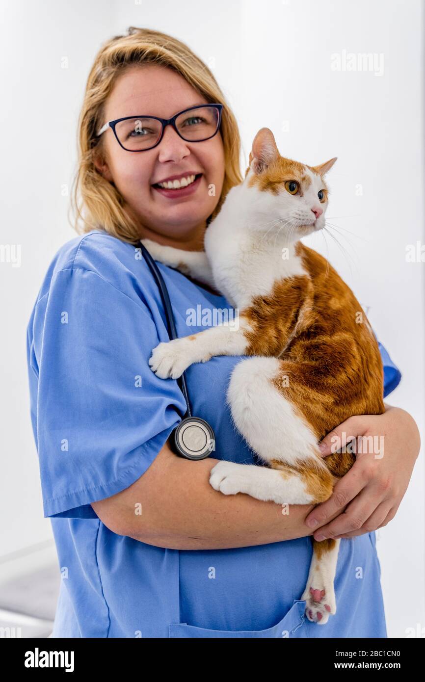 Veterinary clinic assistant hi-res stock photography and images - Alamy