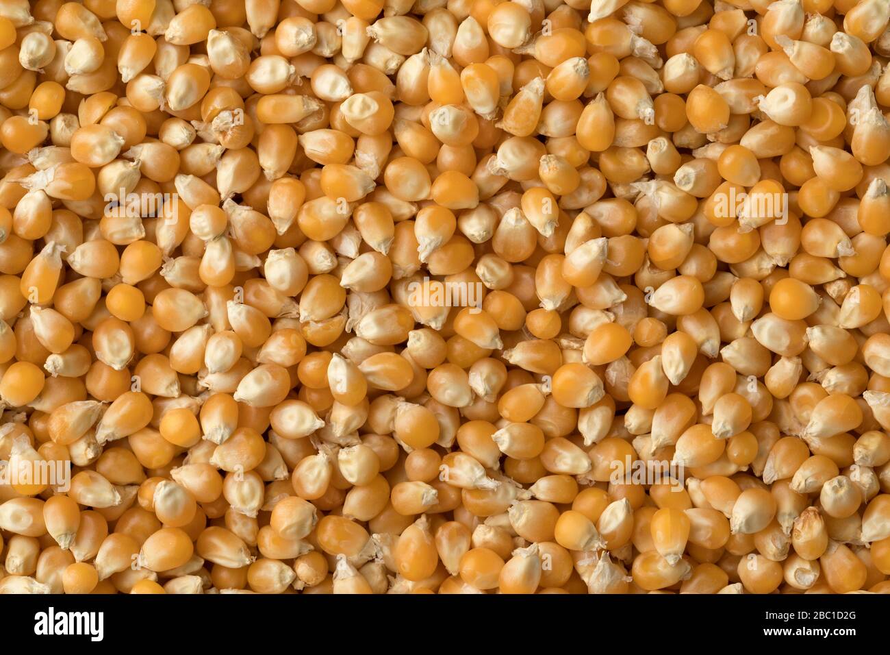 Dried maize hi-res stock photography and images - Alamy