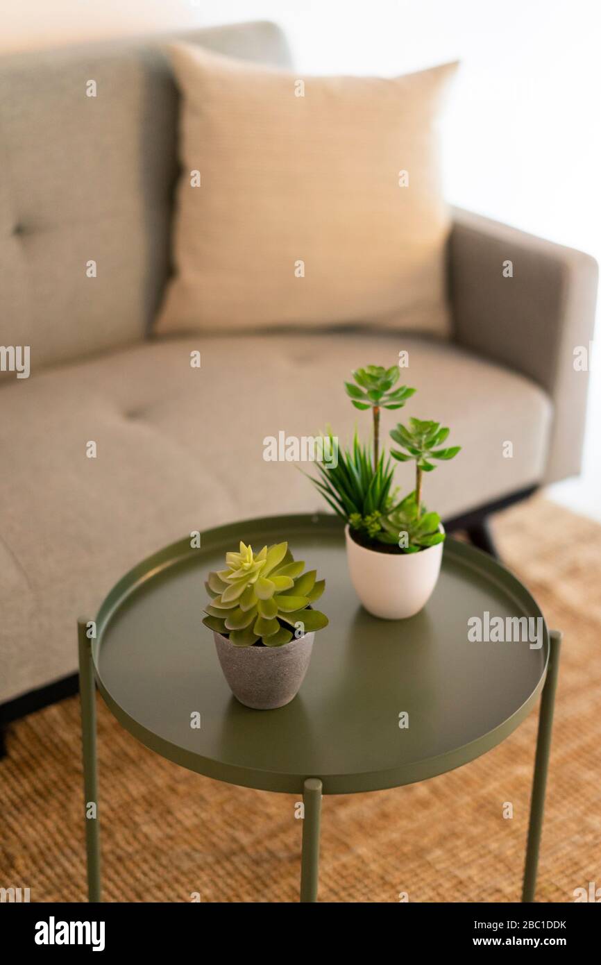 Potted plants on table in living room Stock Photo - Alamy