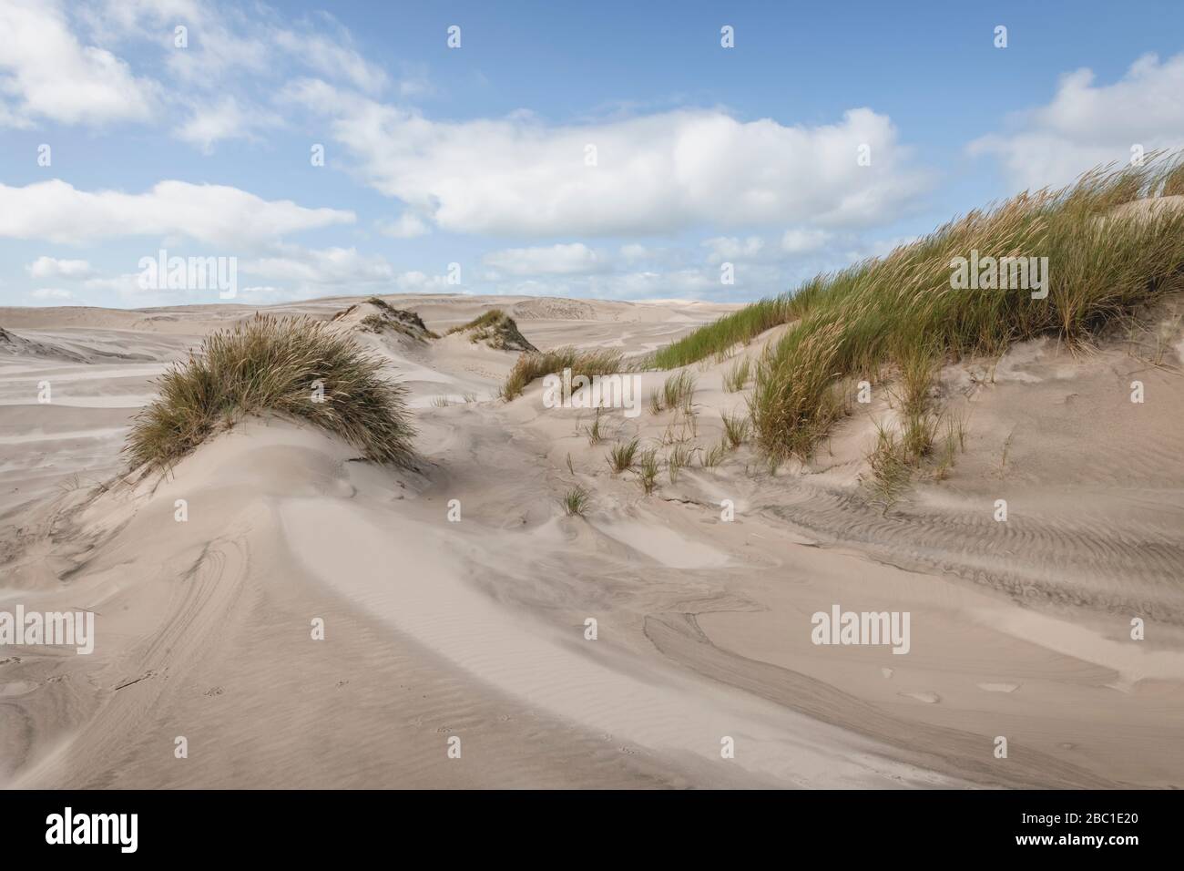 Denmark, Skagen, Sand of migrating Rabjerg Mile dune Stock Photo - Alamy