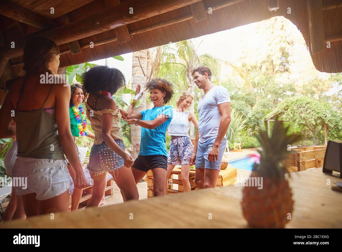 Young friends dancing and hanging out at tropical summer poolside Stock ...