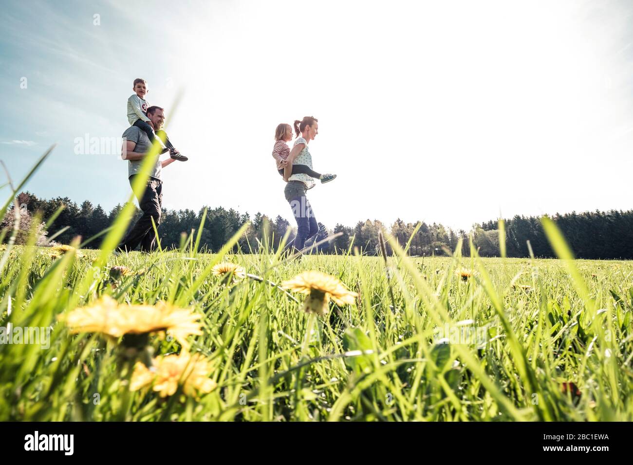 Kids on a meadow hi-res stock photography and images - Alamy