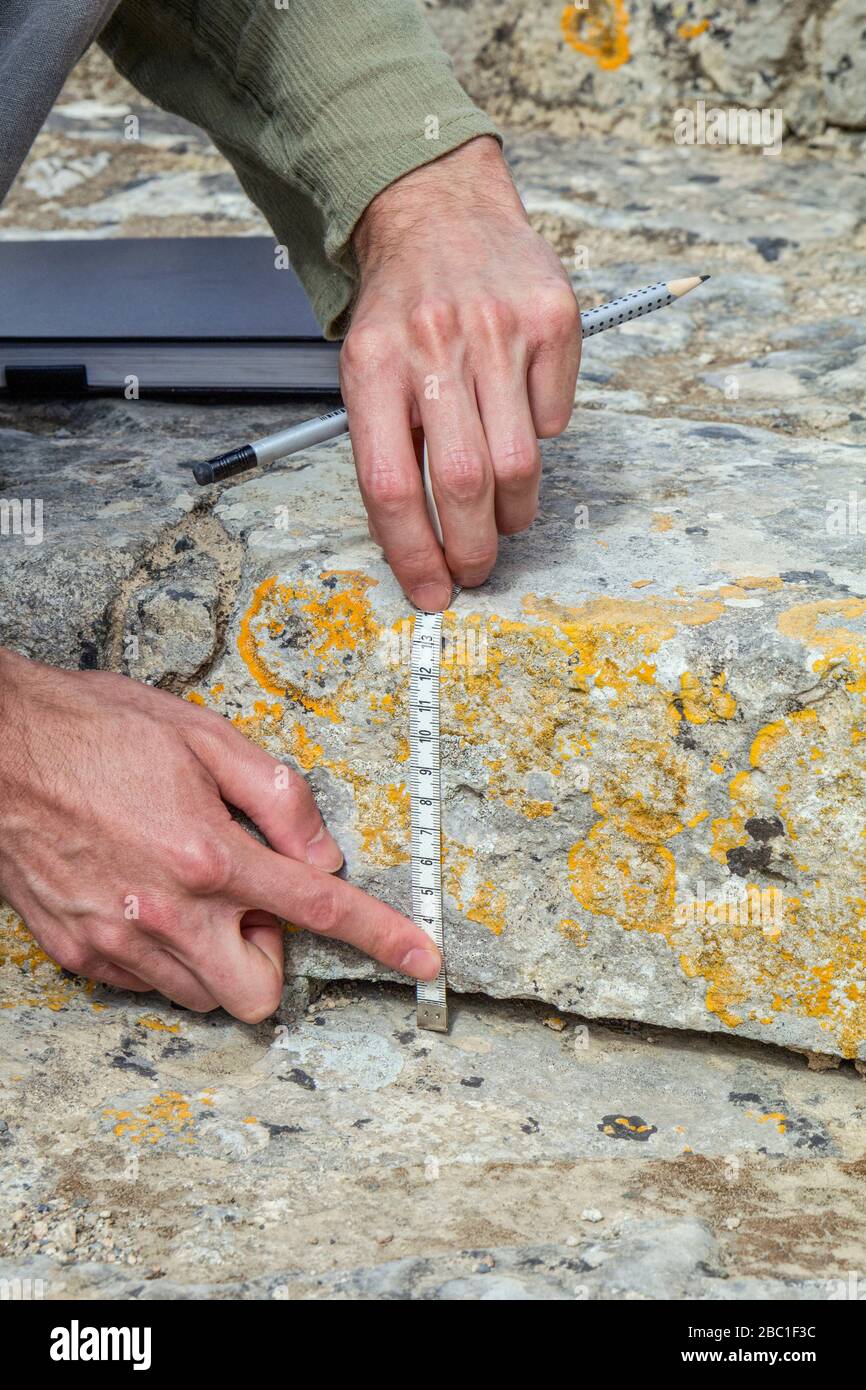 Archaeologist measuring rock hi-res stock photography and images - Alamy