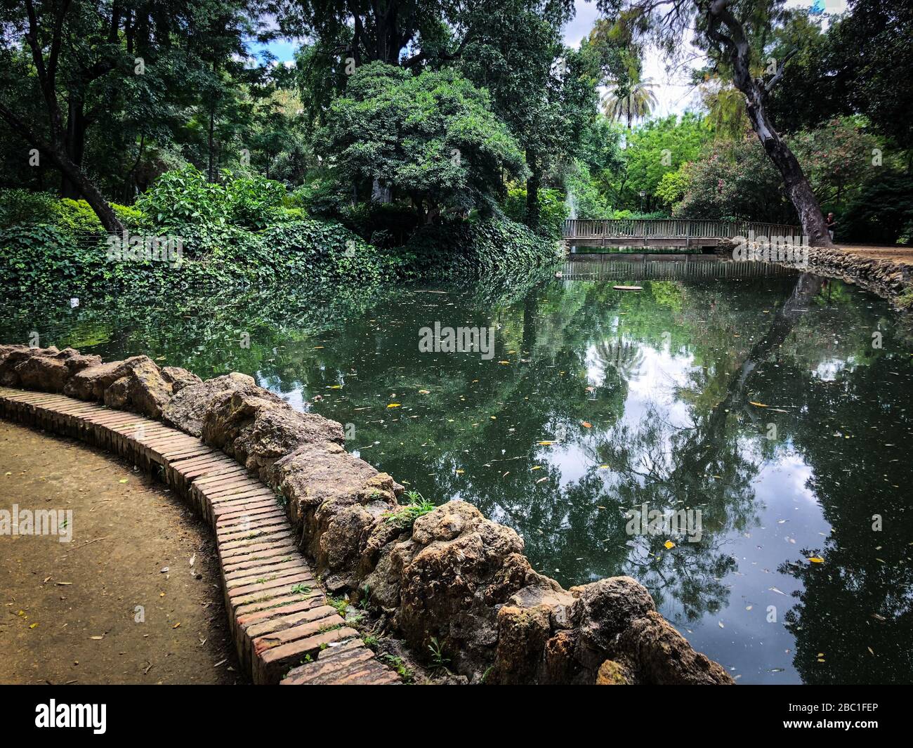 natural flowers close up view Stock Photo - Alamy