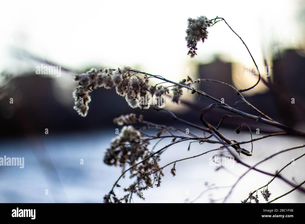Saranac river trail hi-res stock photography and images - Alamy