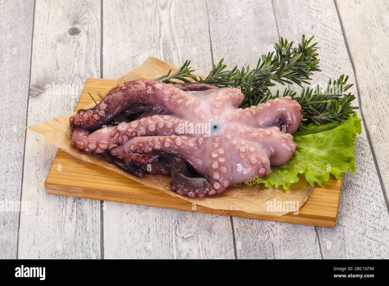 Raw octopus ready for cooking with rosemary Stock Photo - Alamy