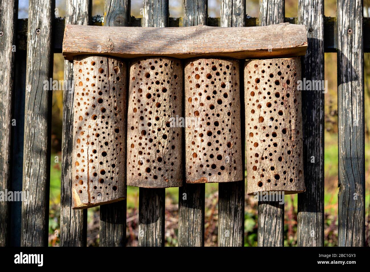Self-built bee hotel on a wooden fence Stock Photo - Alamy