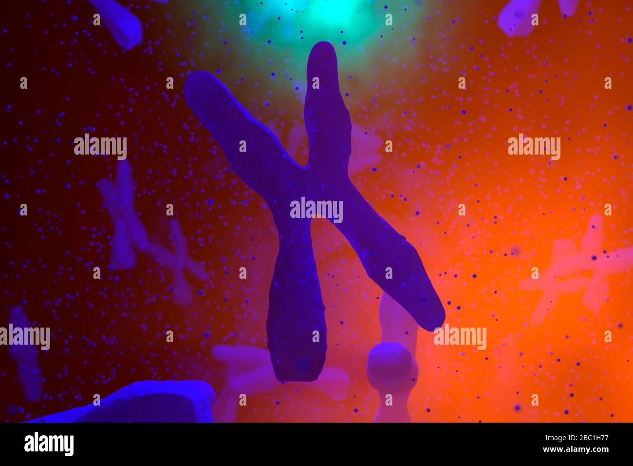 3D Rendered Illustration, scientific visualisation of a Chromosome ...