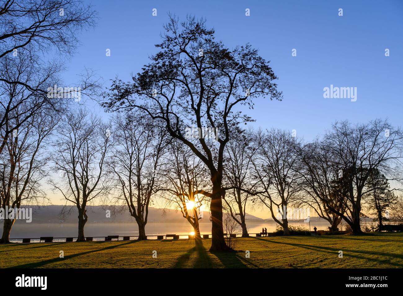 Radolfzell am bodensee hi-res stock photography and images - Alamy