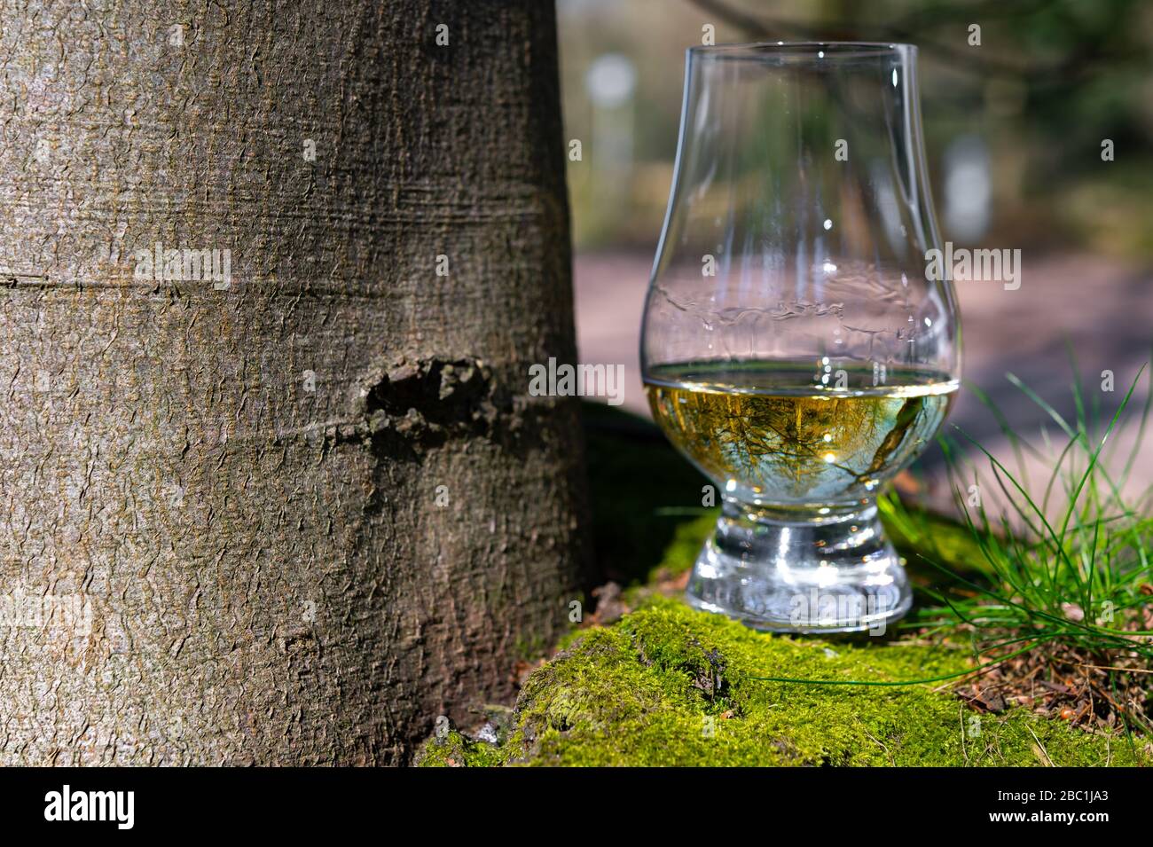 Tasting of scotch single malt whisky from Islay island, most intensely ...