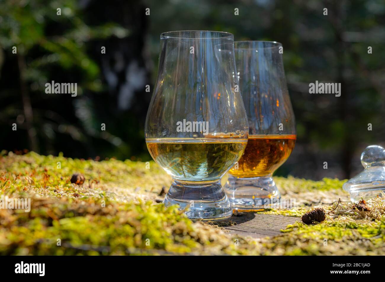 Tasting of scotch single malt whisky from Islay island, most intensely ...