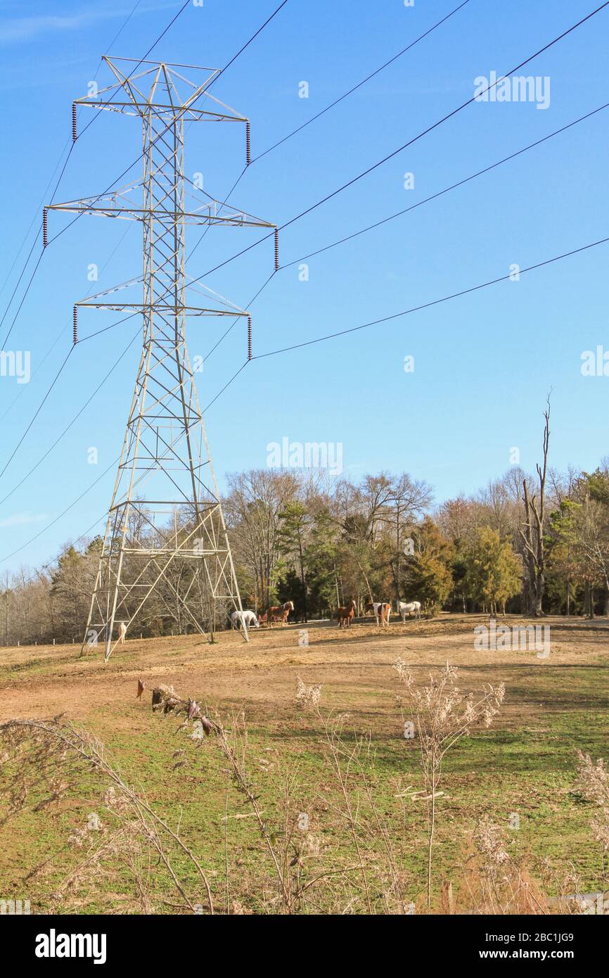 Utility towers lines cut hi-res stock photography and images - Alamy