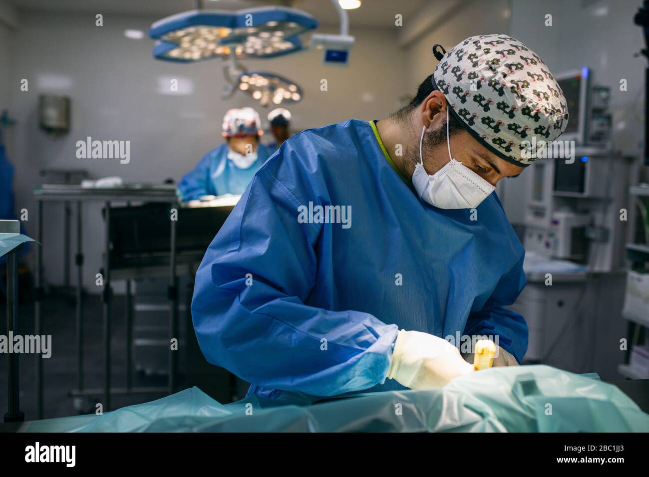 Veterinarian in a surgery Stock Photo - Alamy