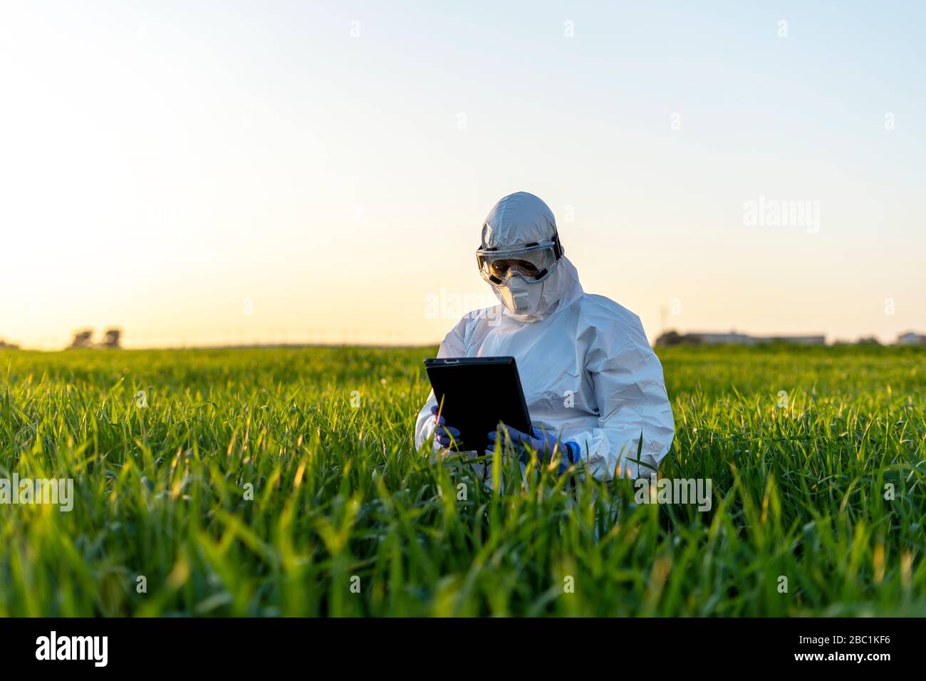 Female scientist researching in field Stock Photo - Alamy