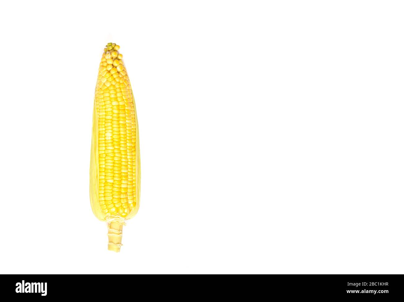 Sweet corn with leaves set isolated on white background,Creative layout ...