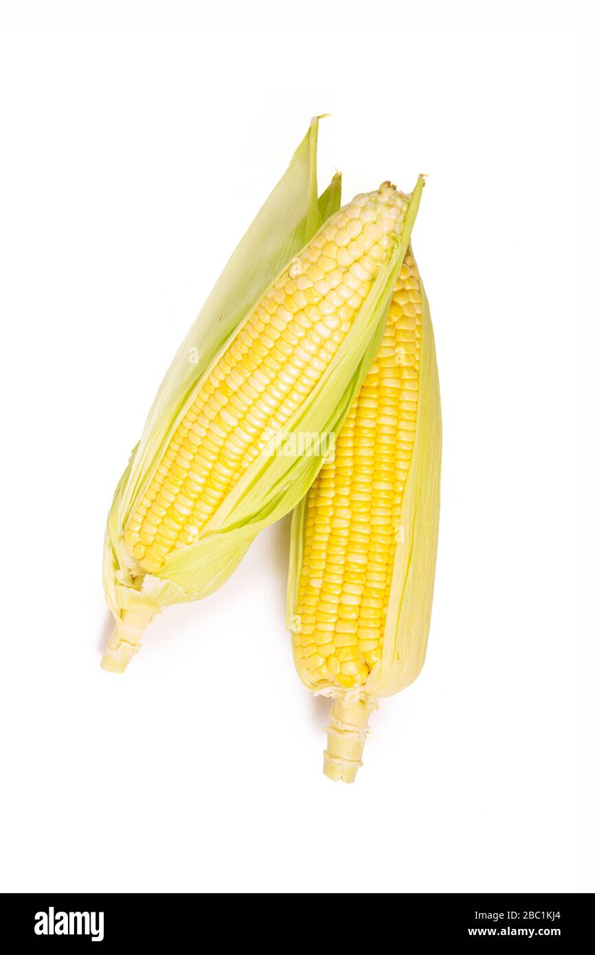 Sweet corn with leaves set isolated on white background,Creative layout ...