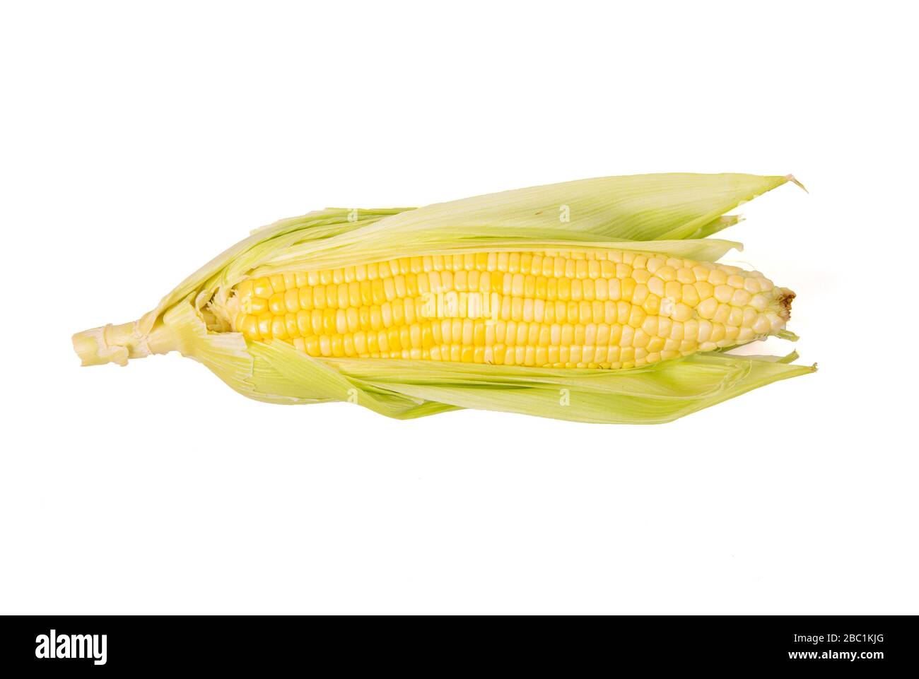 Sweet corn with leaves set isolated on white background,Creative layout ...