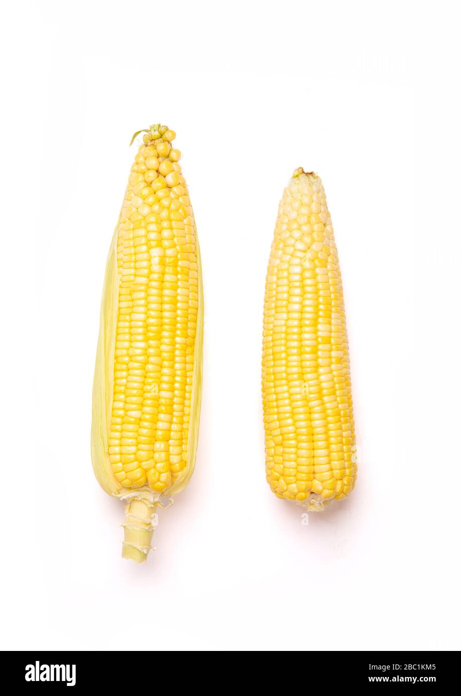 Sweet corn with leaves set isolated on white background,Creative layout ...