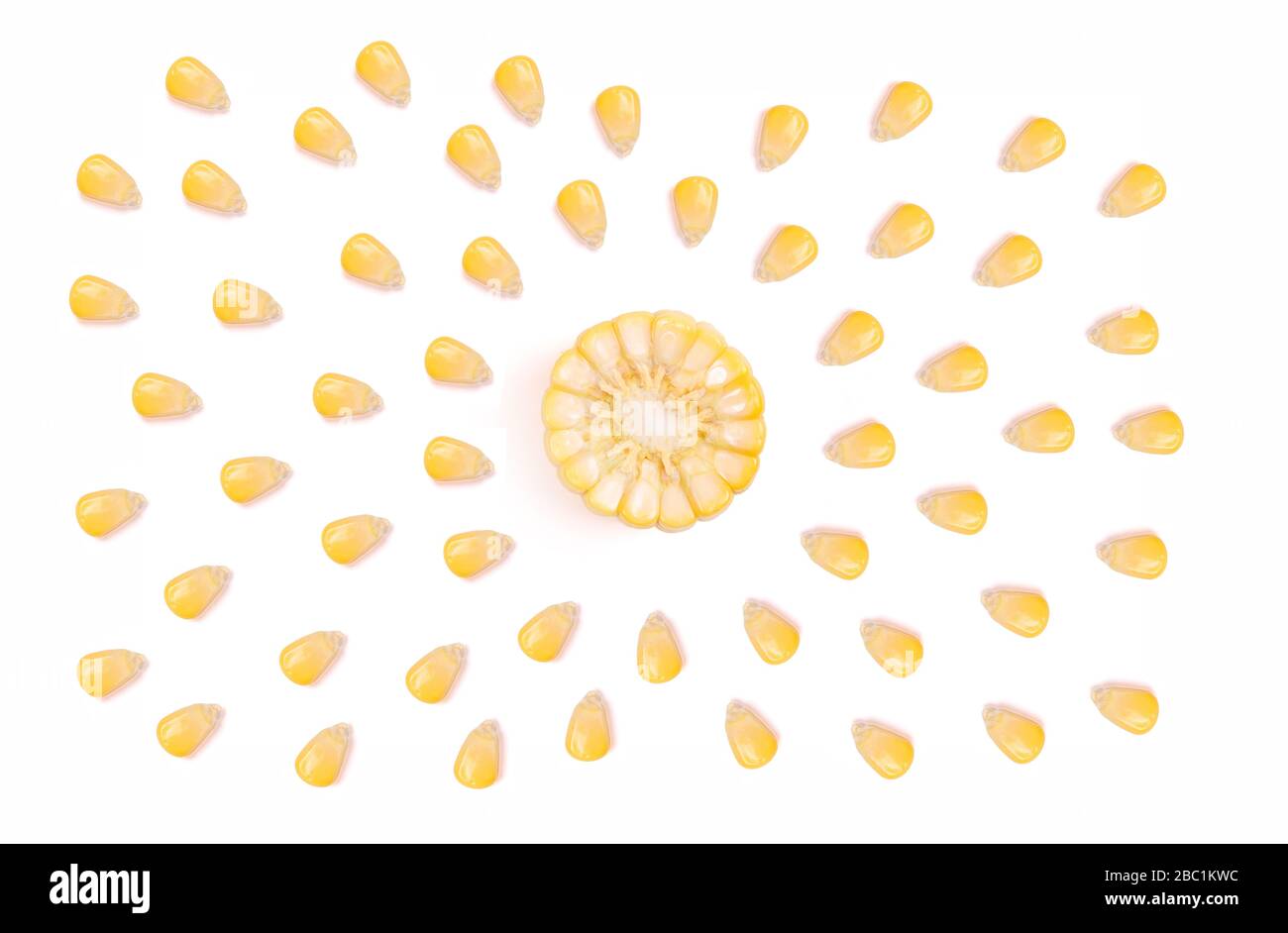 Sweet corn with leaves set isolated on white background,Creative layout ...