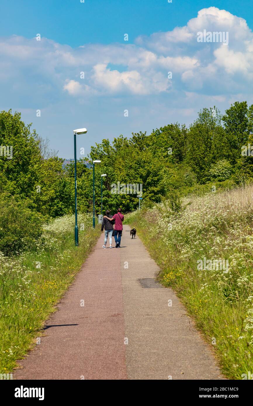 Couple and dog on the Great Lines Heritage Park between Chatham and ...