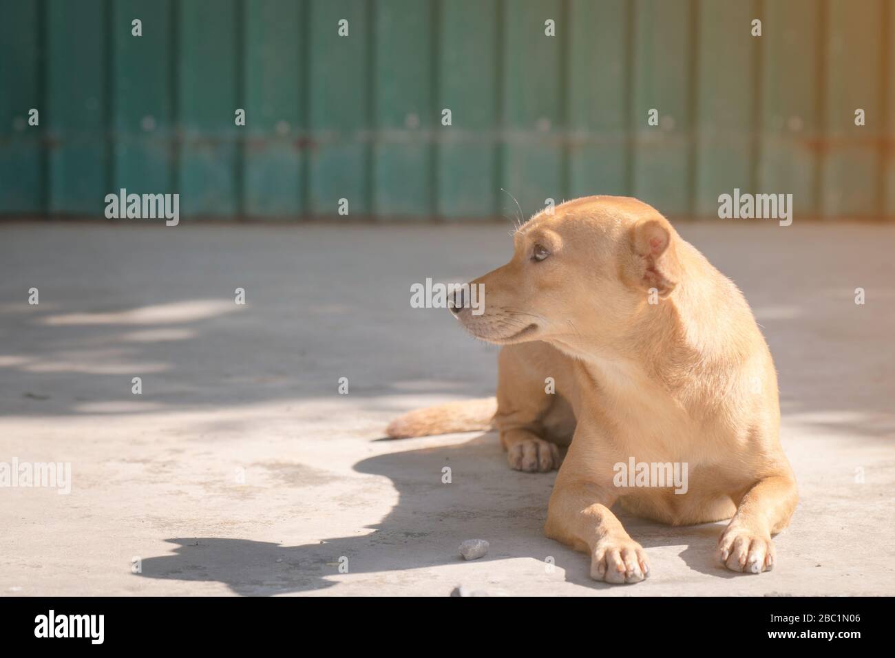 Lay and wait hi-res stock photography and images - Alamy